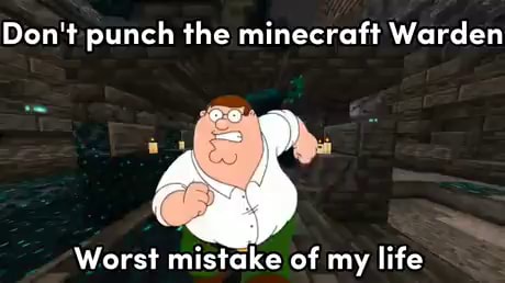 Don't punch the minecraft Warden al Worst mistake of my life - iFunny