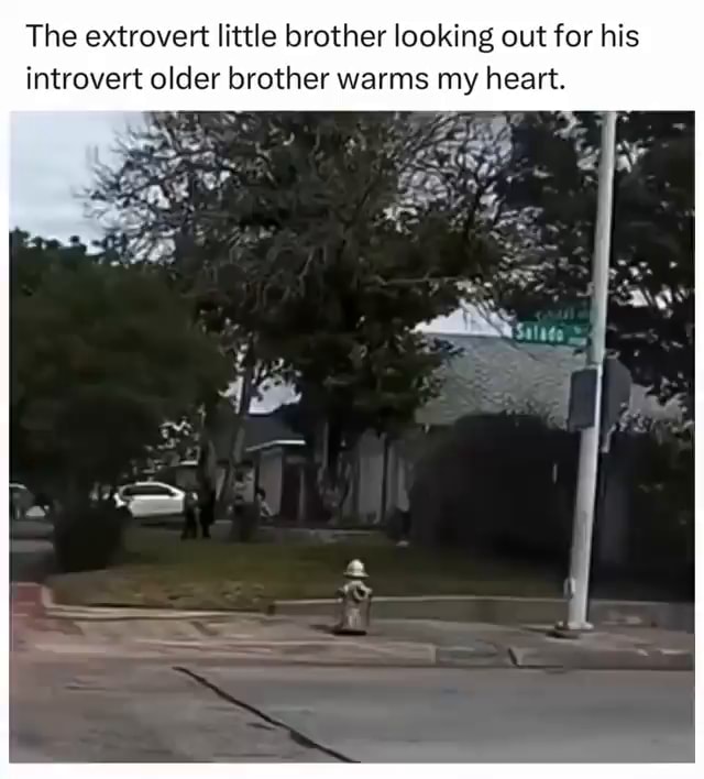The extrovert little brother looking out for his introvert older ...