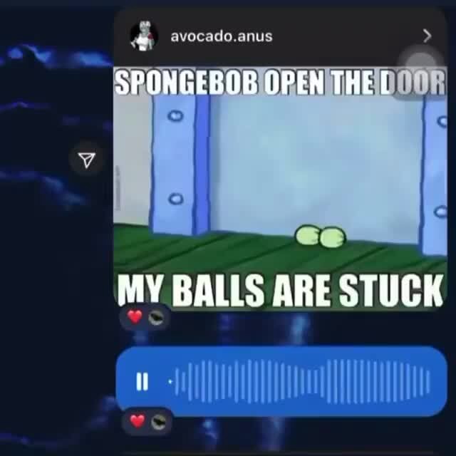 Avocado.anus SPONGEBOB OPEN THEL MY BALLS ARE STUCK - iFunny