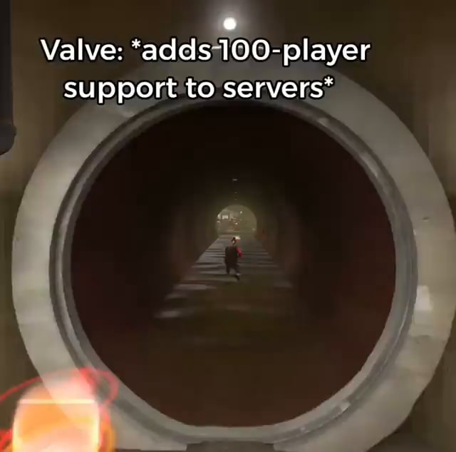 Valve: *adds player support to servers* - iFunny