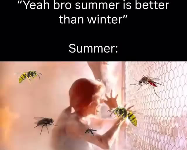 "Yeah bro summer is better than winter' Summer: - iFunny