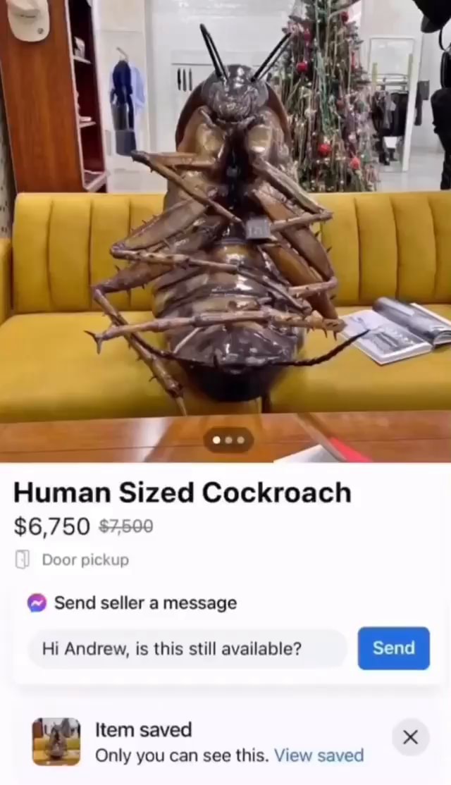 Human Sized Cockroach $6,750 $2509 Door pickup Send seller a message Hi ...