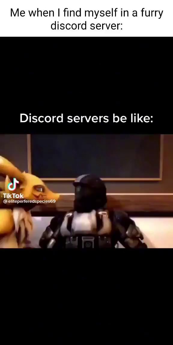 Me when I find myself in furry discord server: Discord servers be li ...