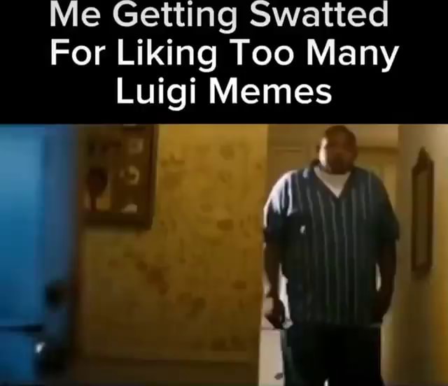 Me Getting Swatted For Liking Too Many Luigi Memes - iFunny