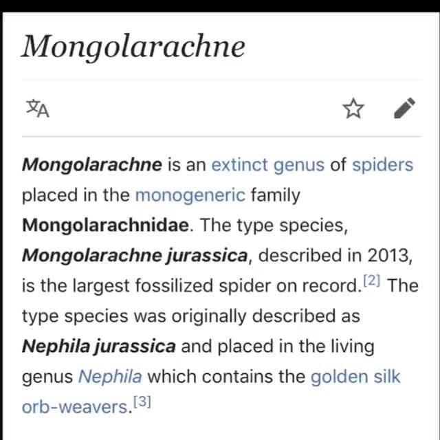 Mongolarachne Mongolarachne is an extinct genus of spiders placed in ...