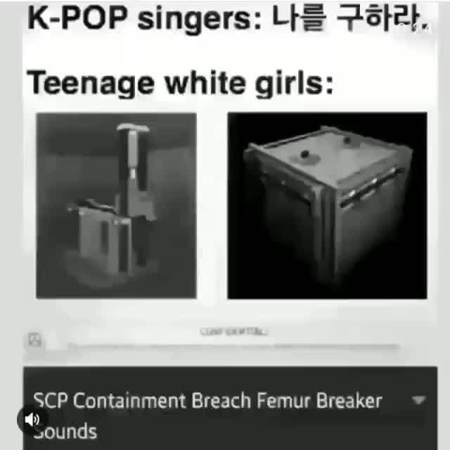 K-POP singers: LiE $3M. Teenage white girls: SCP Containment Breach ...