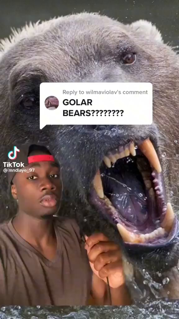 Meet the Grolar Bear - to comment GOLAR - iFunny