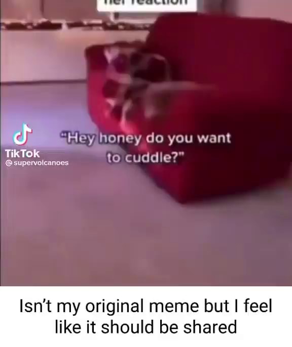 Hey honey do you want TC to cuddle?" Isn't my original meme but I feel ...