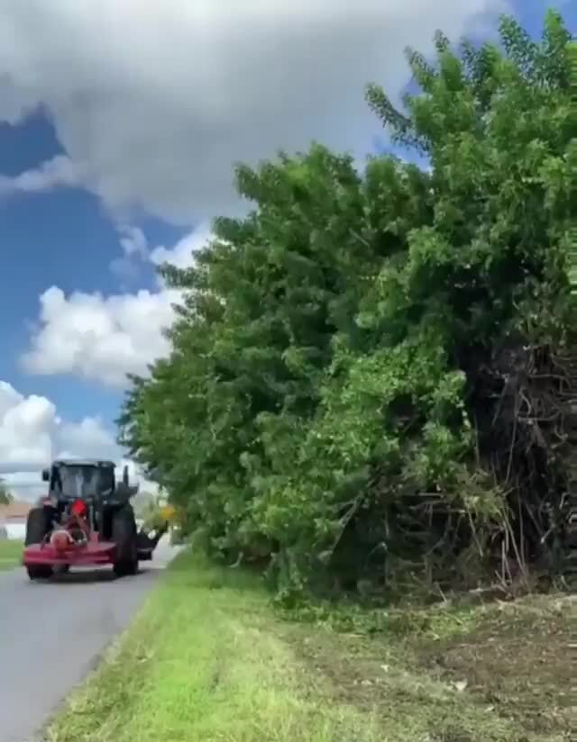 Shaving your culvert - iFunny