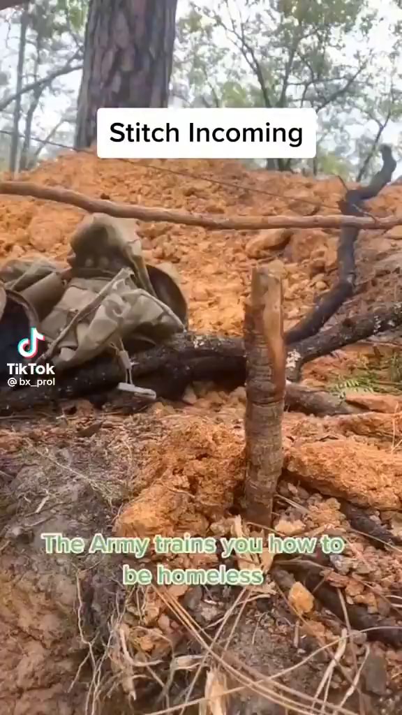 I Stitch Incoming - iFunny