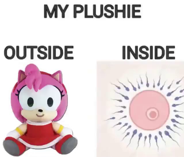 MY PLUSHIE OUTSIDE INSIDE - iFunny