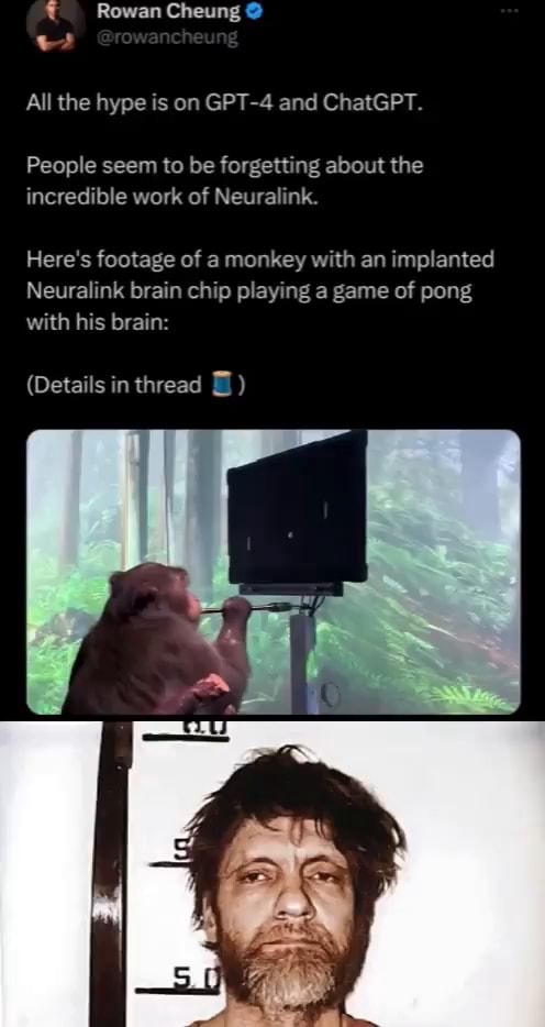 Rowan Cheung GP All the hype is on GPT-4 and ChatGPT. People seem to be ...