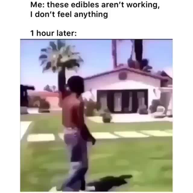 Weed 420 Memes heheheheh - Me: these edibles aren't working, I don't ...