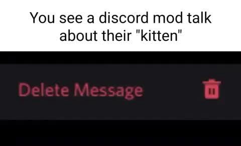 You see a discord mod talk about their "kitten" - iFunny