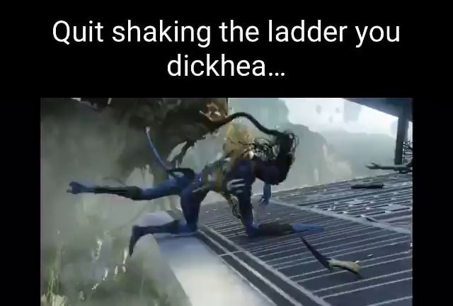 Quit shaking the ladder you dickhea... - iFunny