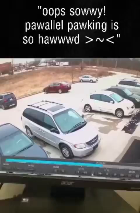 "oops sowwy! pawallel pawking is so hawwwd - iFunny