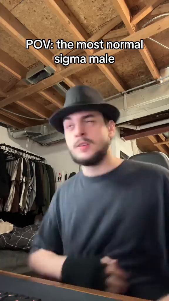 POV: the most normal sigma male - iFunny