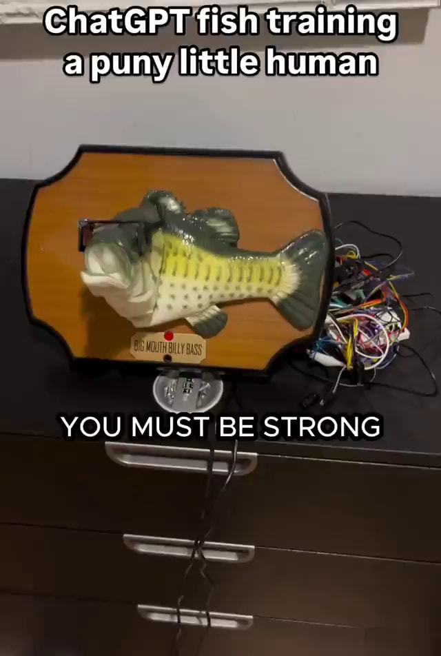 ChatGPT fish training a puny little human YOU MUST BE STRONG SSS - iFunny