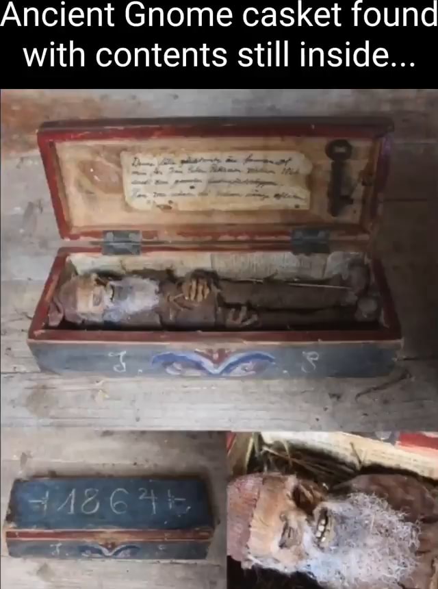 Ancient Gnome casket found with contents still inside... - iFunny