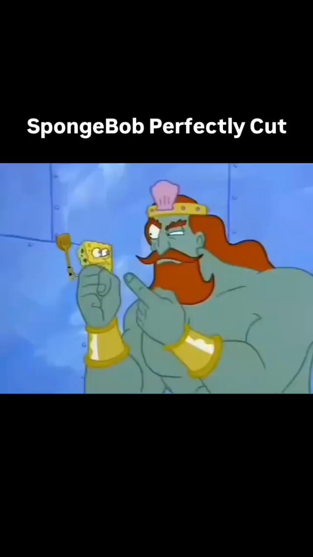 SpongeBob Perfectly Cut - iFunny