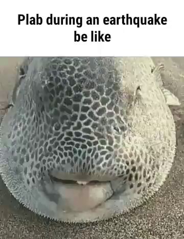 Pleb during an earthquake be like - iFunny