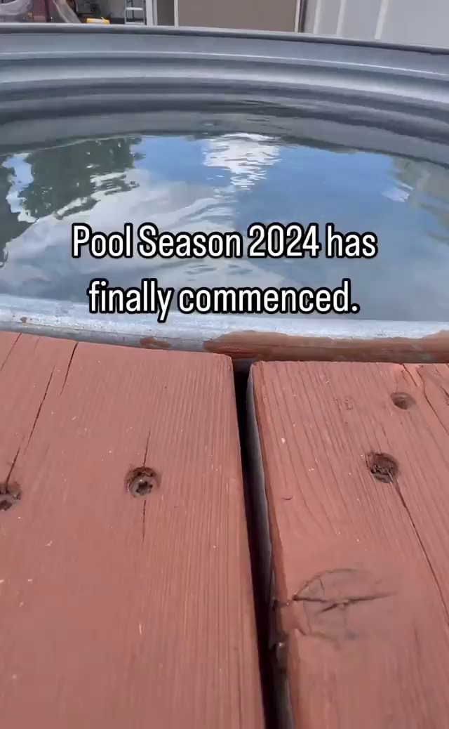 Pool Season 2024 has finally commenced. - iFunny