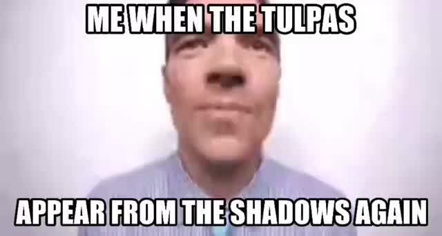 WHEN THE TULPAS APPEAR FROM THE SHANNWS ACAIN - iFunny