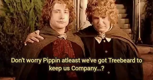 Merry and Pippin at the end of Lotr... [OC] - Don't worry Pippin ...