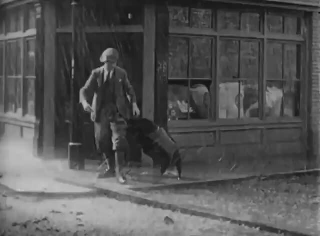 Charles Joseph Parrott, known professionally as Charley Chase, was an ...