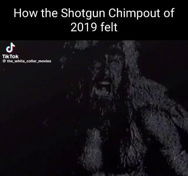 How the Shotgun Chimpout of 2019 felt TikTok lug - iFunny