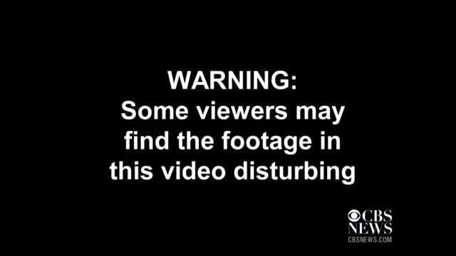 WARNING: Some viewers may find the footage in this video disturbing ...
