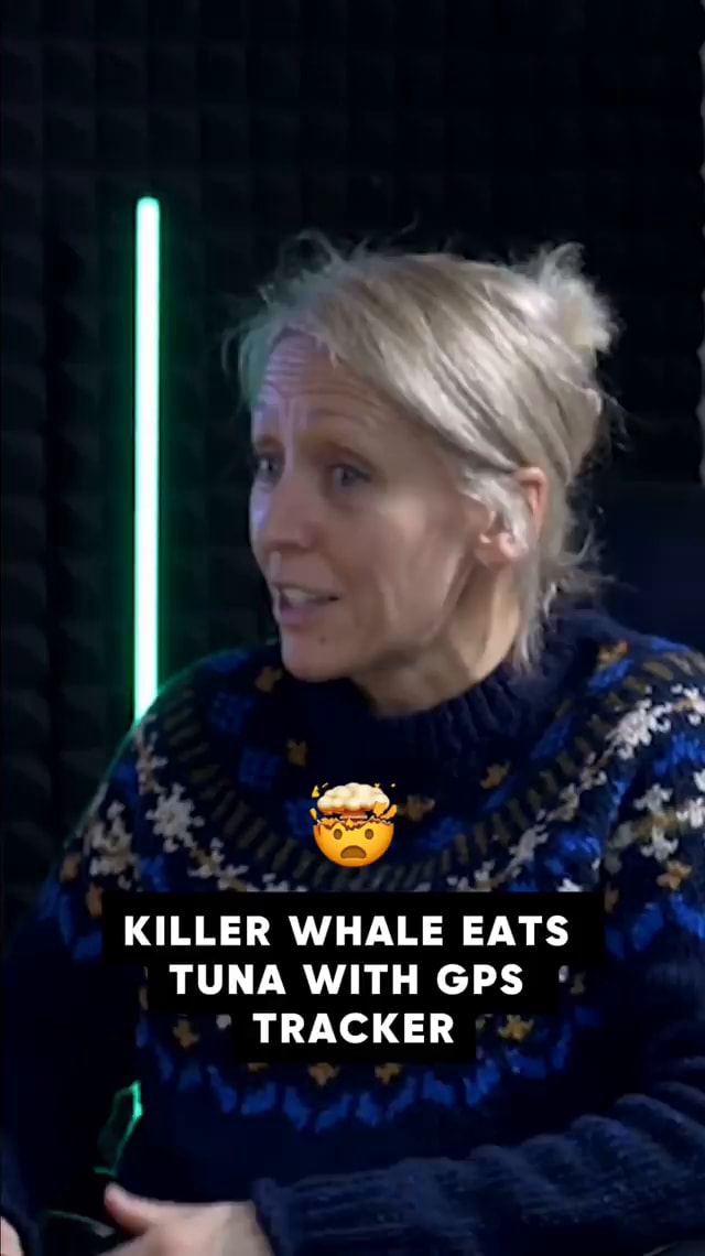 KILL ER WHALE EATS NA WITH GPS TRACKER ~ - iFunny
