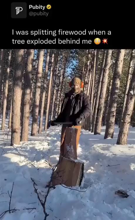 Pubity I was splitting firewood when a tree exploded behind me - iFunny