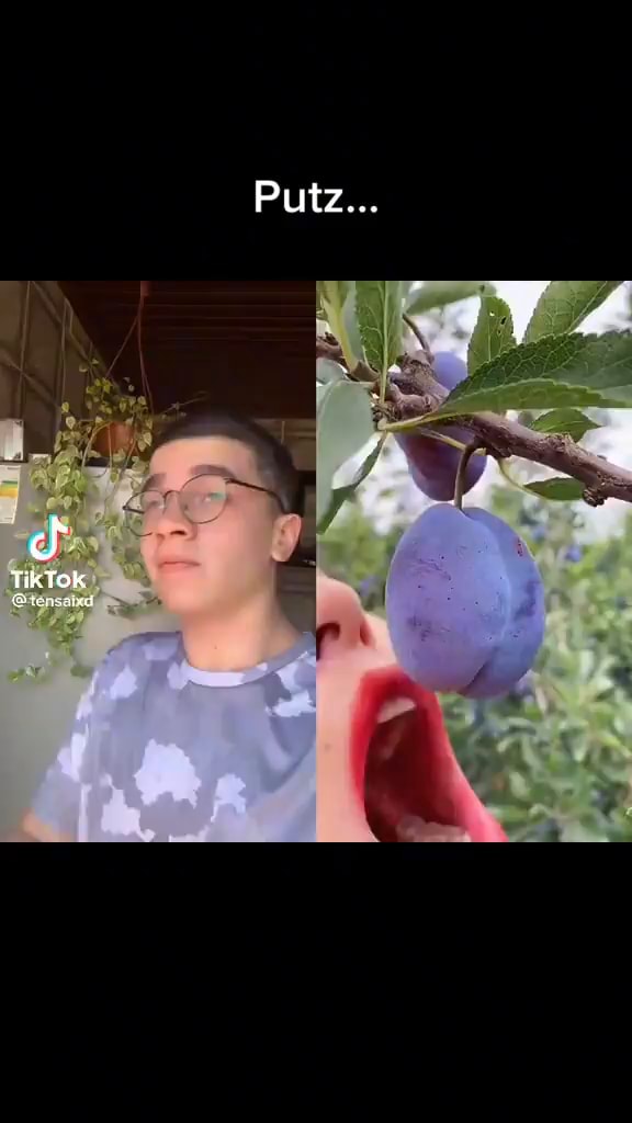 TikTok Putz... he - iFunny