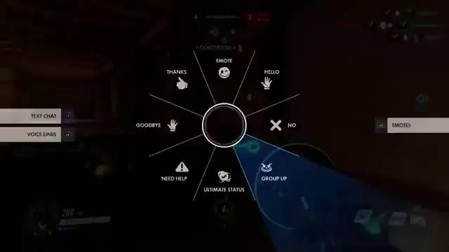 TEXT CHAT VOICE LINES EMOTE THANKS. GOODBYE NEED HELP GROUP UP ULTIMATE ...