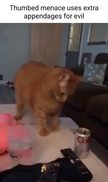 Thumbed menace uses extra appendages for evil - iFunny