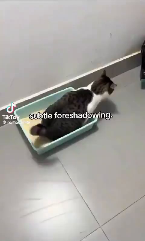 Subtle foreshadowing: - iFunny