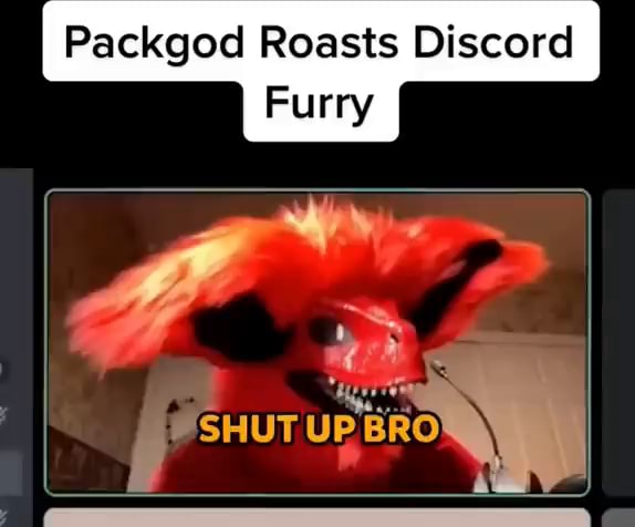 Packgod Roasts Discord Furry UP - iFunny Brazil