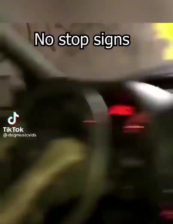 No stop signs Tik Tok - iFunny