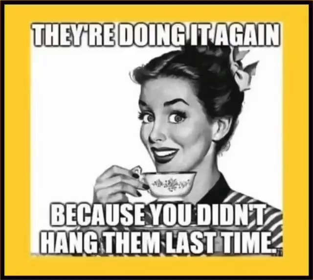 THEYRE DOING 'ITAGAIN BECAUSE I DIDNT HANG THEM LASC TIME: - iFunny