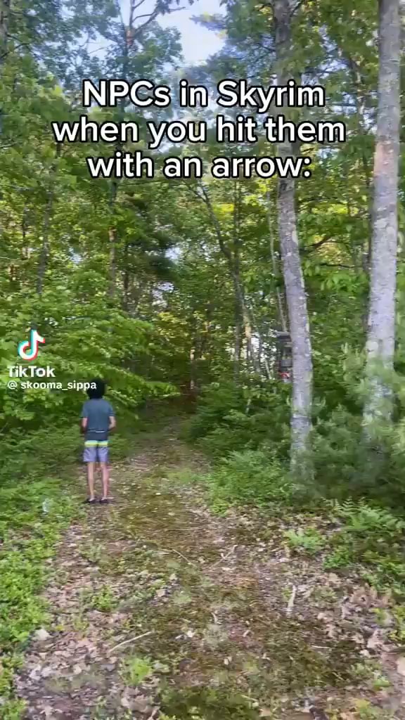 NPCs in, Skyrim when you hit them with an arrow: - iFunny