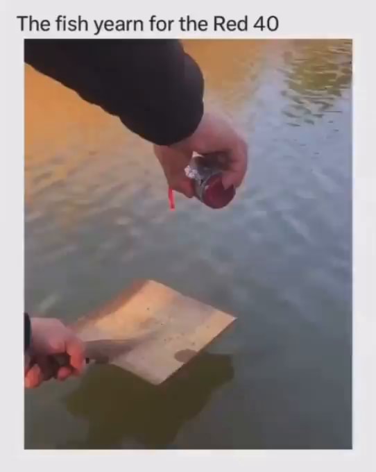 The fish yearn for the Red 40 - iFunny