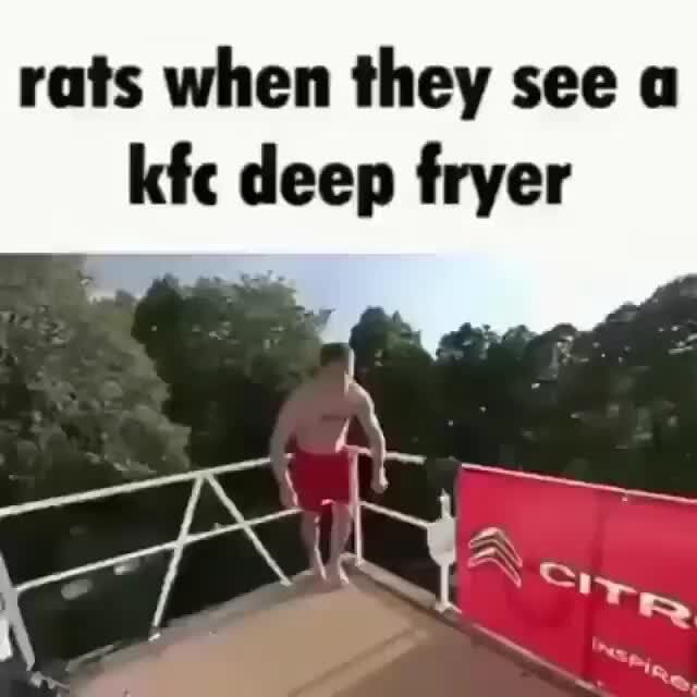 Rats when they see a kfc deep fryer - iFunny
