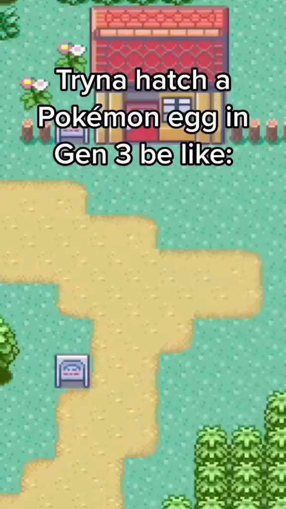 Tryna hatch a Pokemon egg in Gen 3 be like: - iFunny