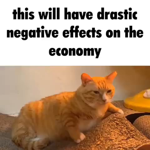 This will have drastic negative effects on the economy - iFunny