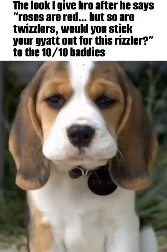 The look I give bro after he says "roses are red... but so are ...