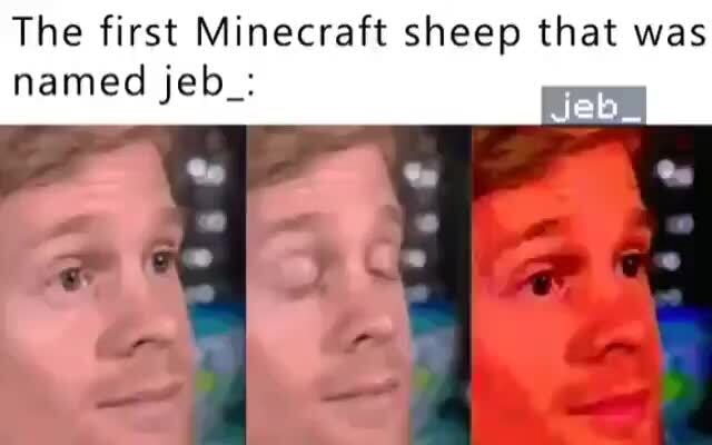 The first Minecraft sheep that was named jeb_: - iFunny