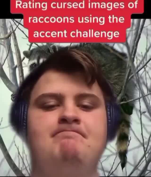 Rating cursed images of raccoons using the accent - iFunny