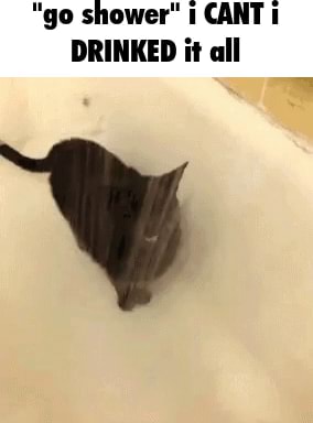 "go shower" CANT DRINKED it all - iFunny