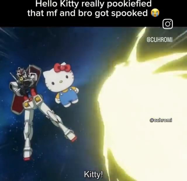 Hello Kitty really pookiefied that mf and bro got spooked @ GCUHROMI ...